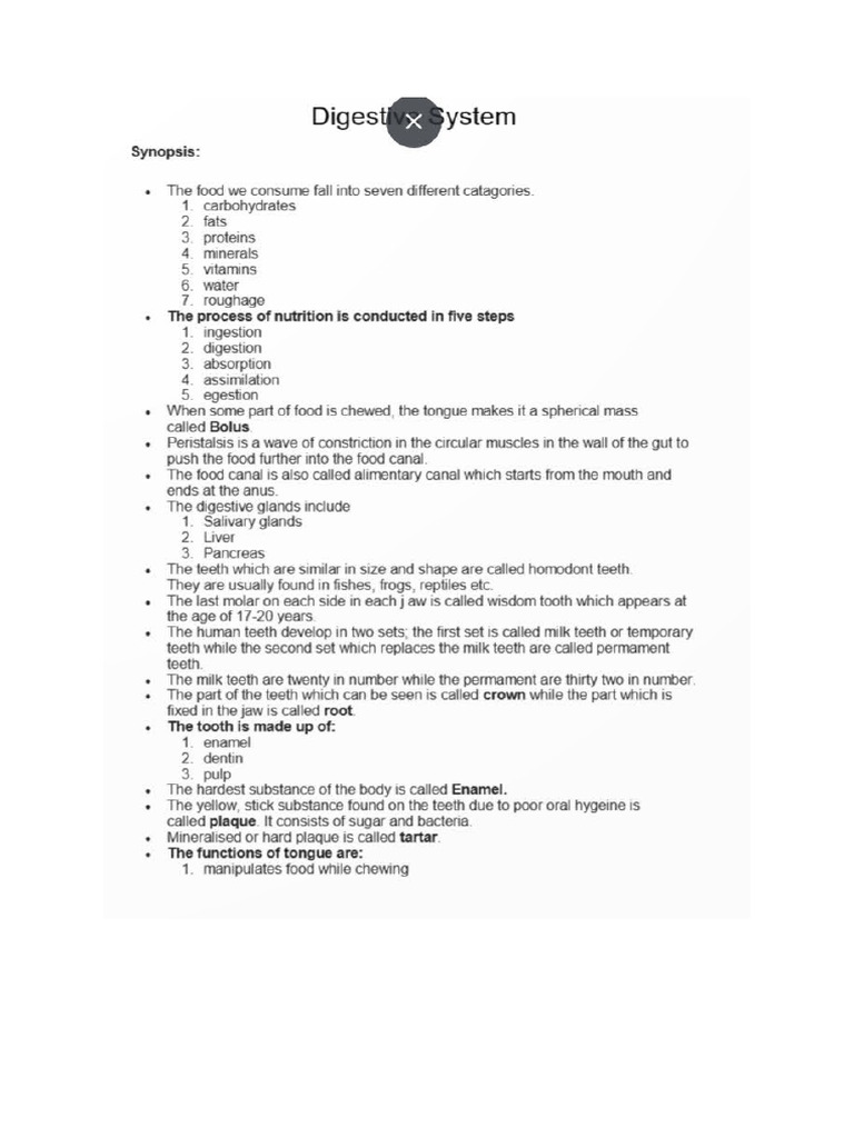 Digestive System | PDF