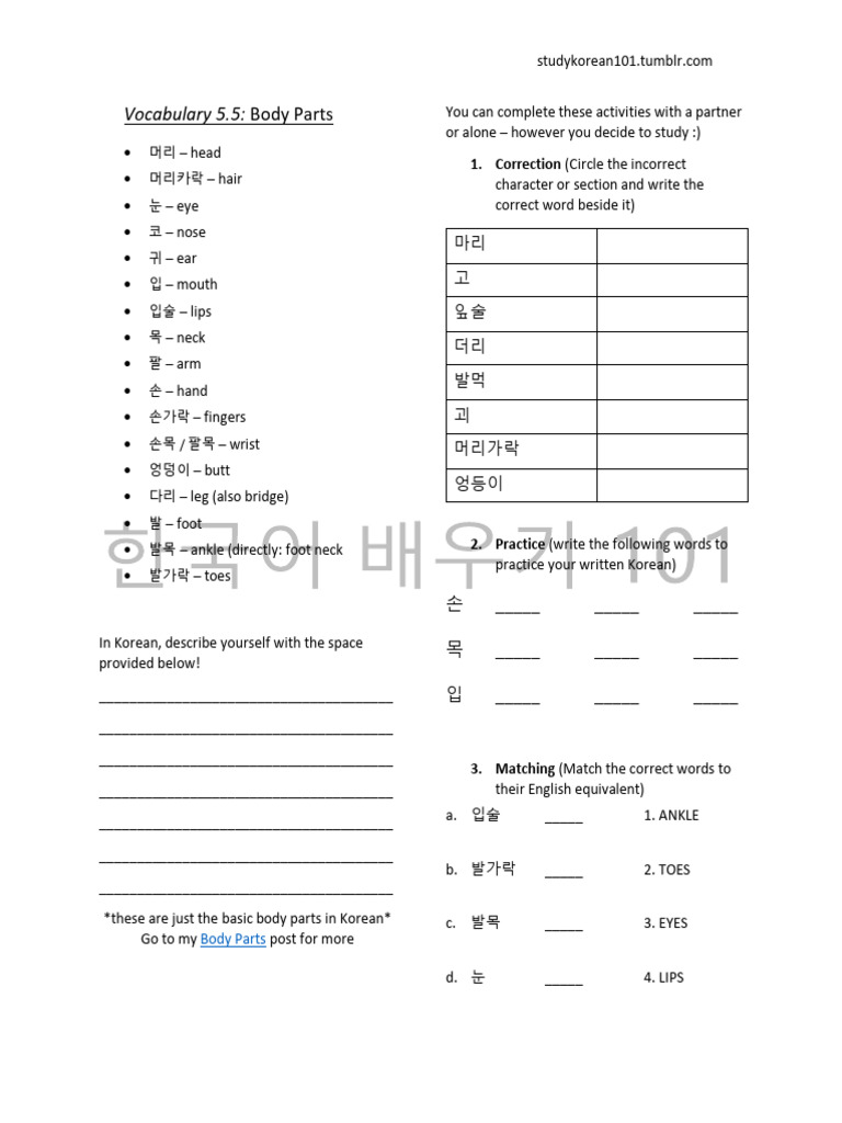 Body Vocabulary Exercise 2 | PDF