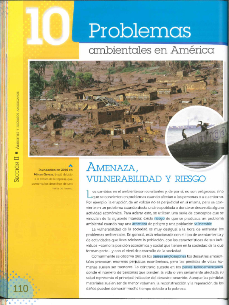 CAP. Diez Manual | PDF