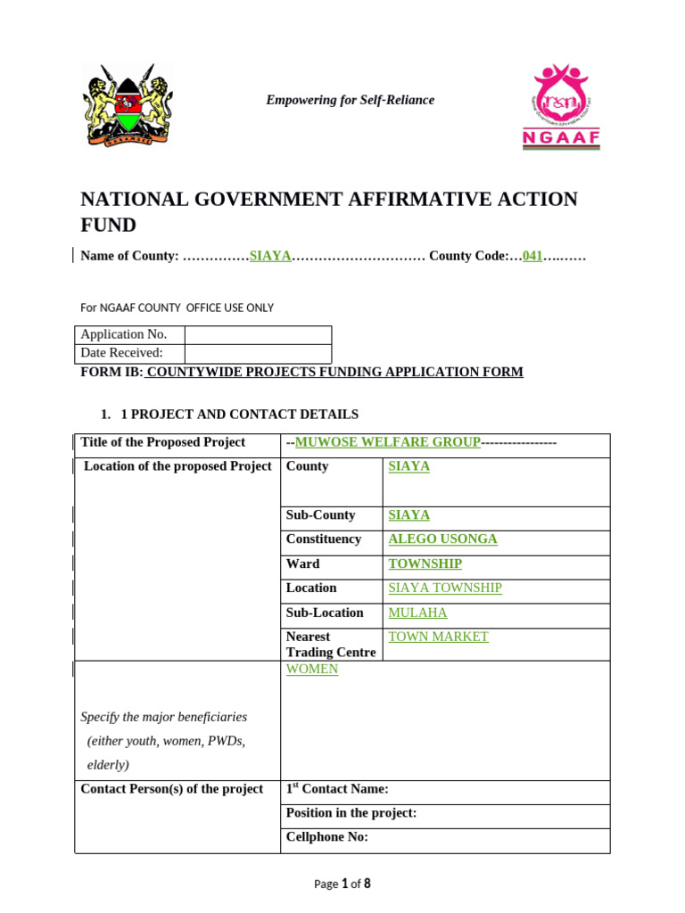 NGAAF APPLICATION FORM IB-County Wide Projects (Revised 2021) | PDF