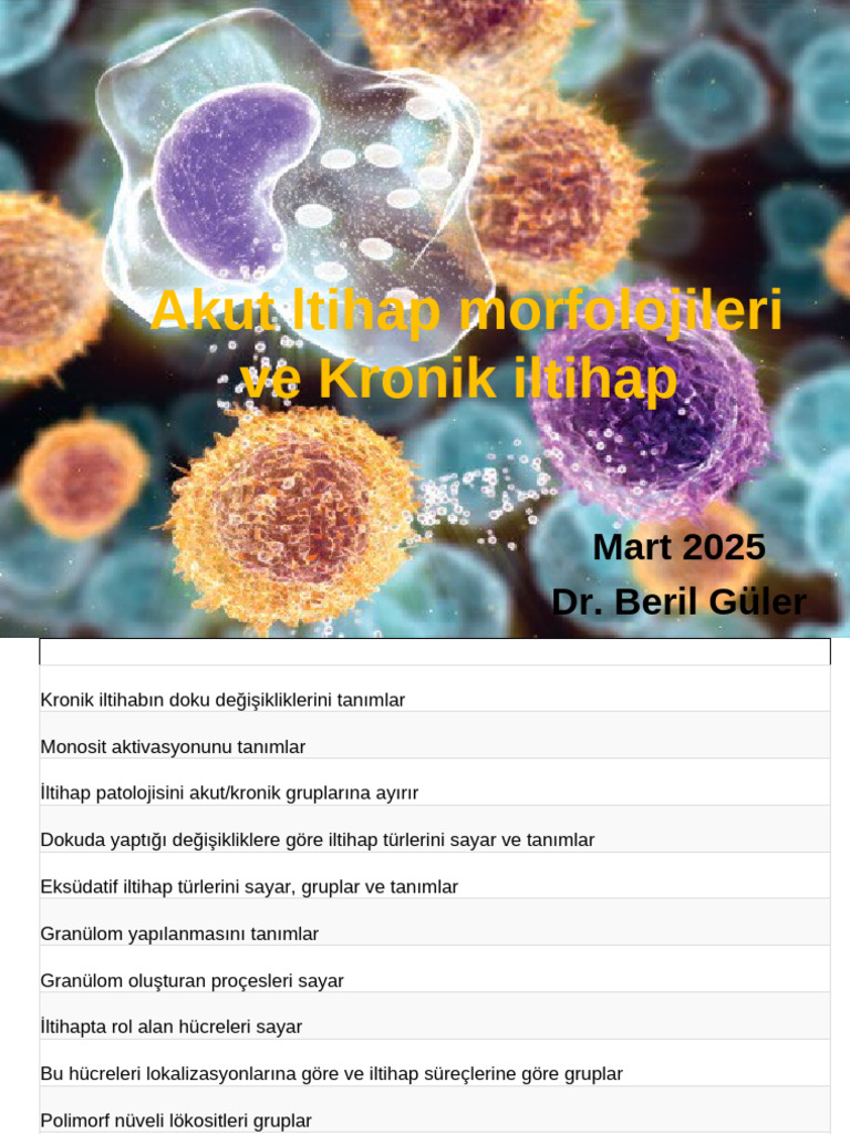 Akut iltihap morfoloji ve Kronik İltihap - Mart 2025 | PDF