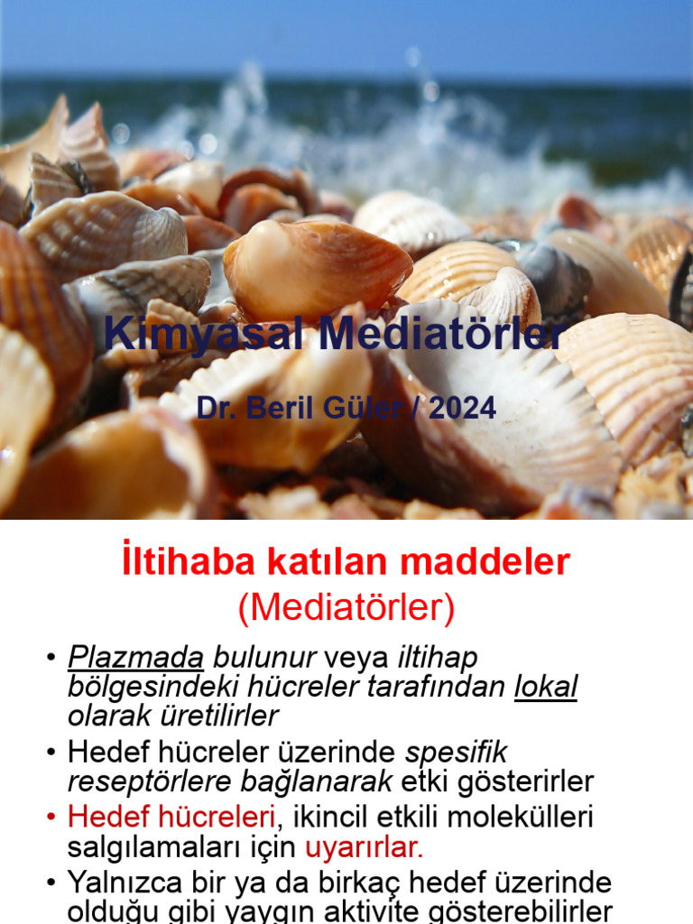 Kimyasal Mediatã Rler - Mart 2024 | PDF