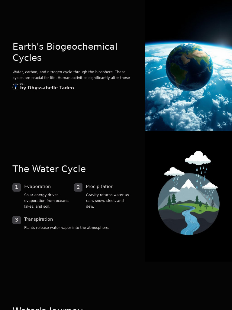 Earths Biogeochemical Cycles | PDF