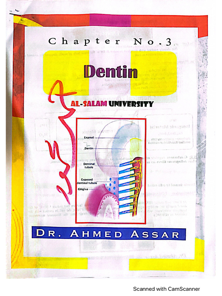 dentin | PDF