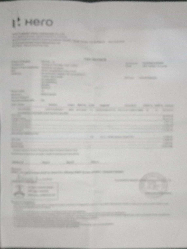 Document-WPS Office | PDF