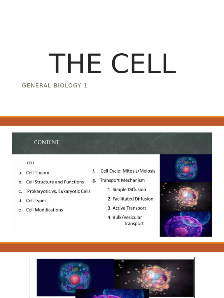 GEN-BIO-1 | PDF
