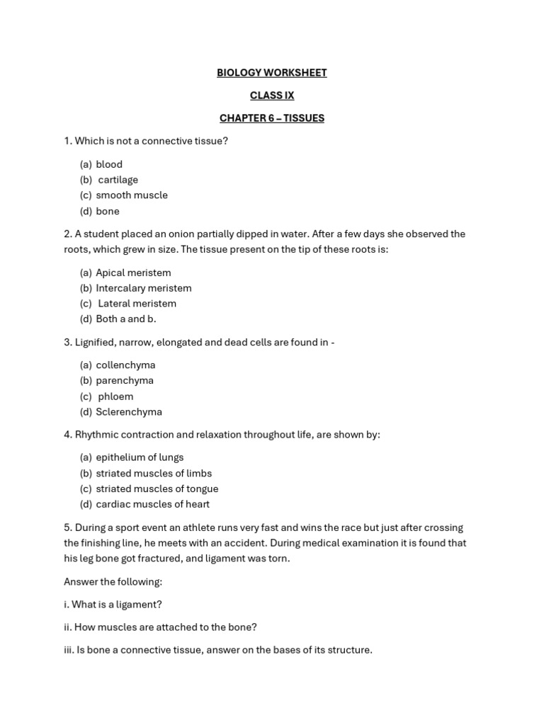 Biology Worksheet Chapter-6 Tissues | PDF