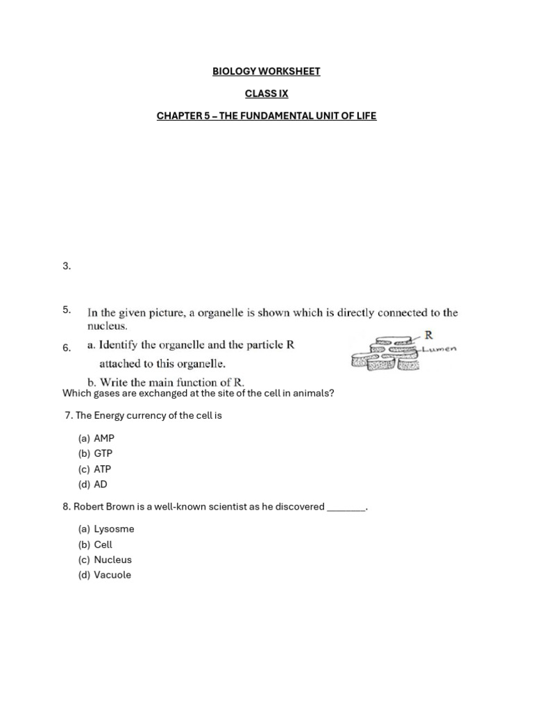 Biology Worksheet Chapter-5 Cell | PDF