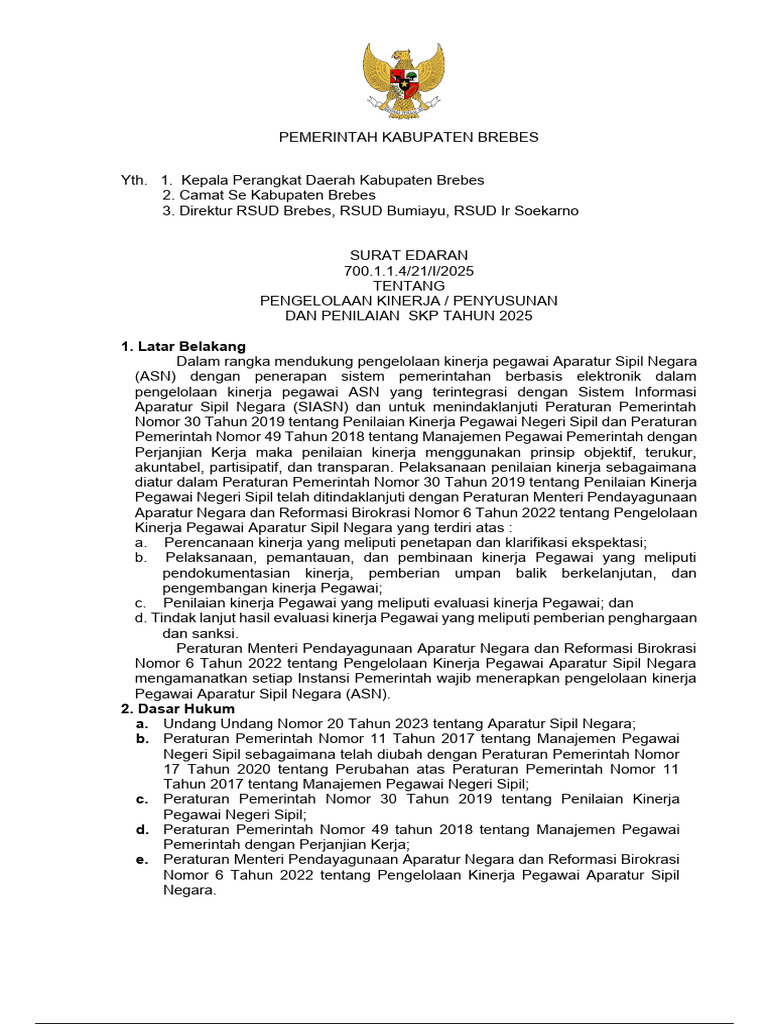 Surat Edaran Pelaksanaan SKP THN 2025 | PDF