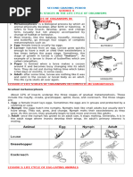 Tiger Life Cycle Explained for Kids | PDF