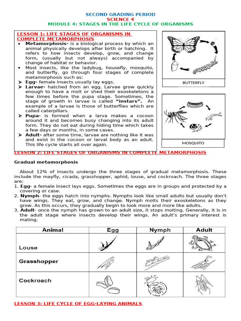 Life Cycle Stages of Organisms | PDF | Pupa | Egg