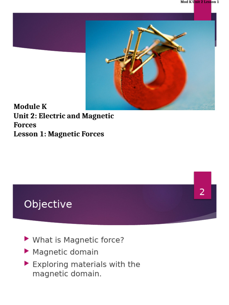 Grade 8 Science | PDF | Magnetism | Magnet