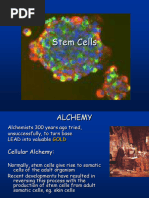 Stem Cells | PDF | Stem Cell | Cell Potency