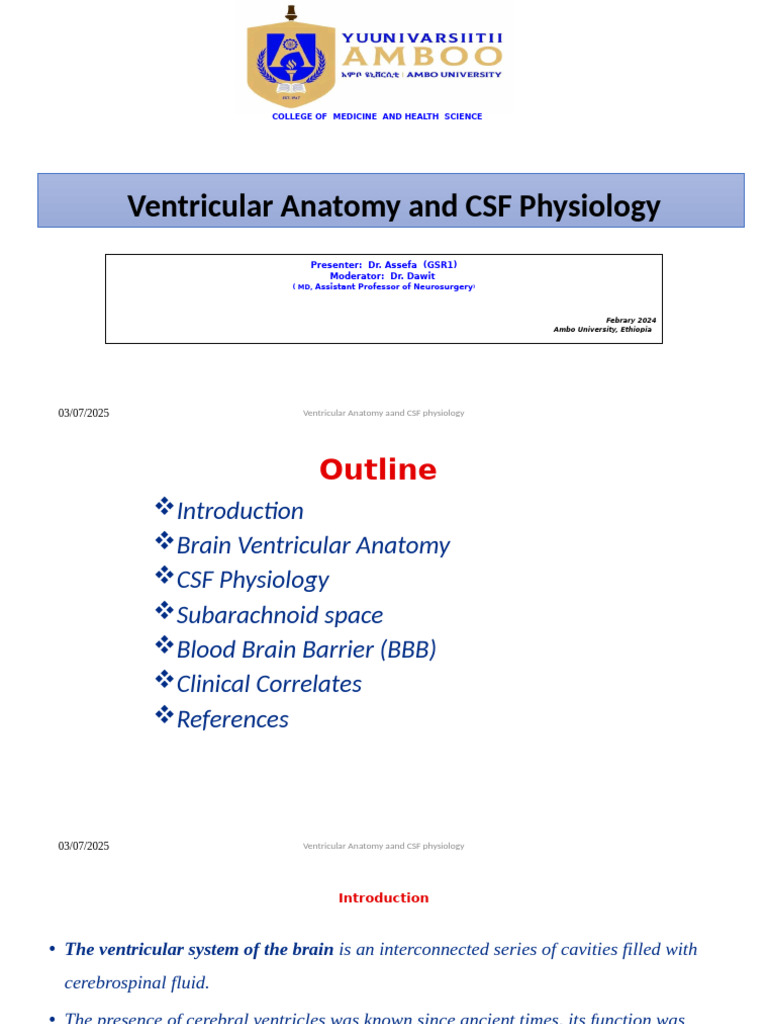 Ventricles & CSF - PPTX AURH 2025 | PDF | Cerebrospinal Fluid | Nervous System