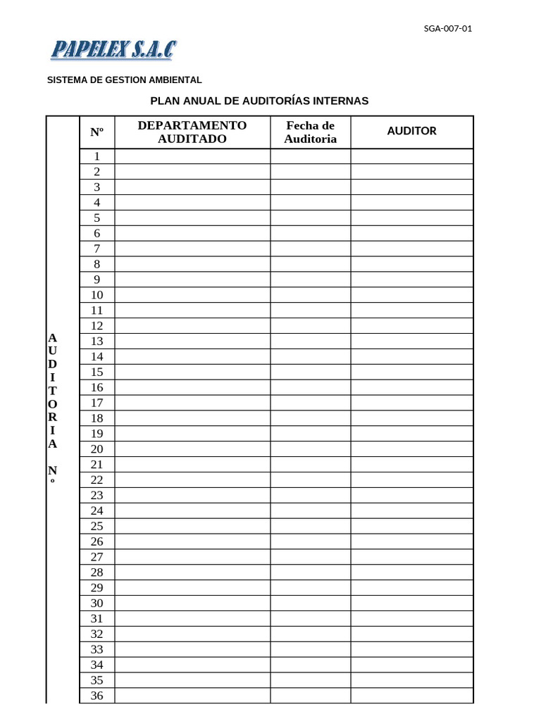 Formato Plan Anual de Auditorias Internas | PDF