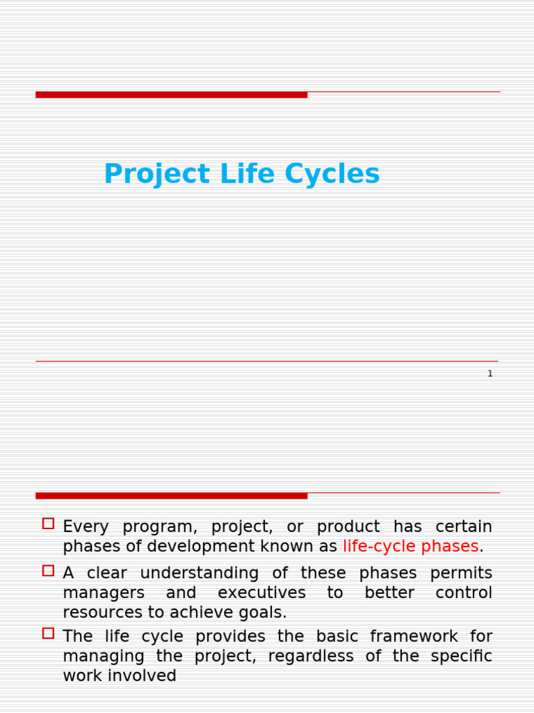 Understanding Project Life Cycles | PDF | Project Management | Business