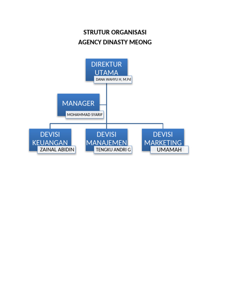 Struktur Organisasi Agency Dinasty Meong | PDF