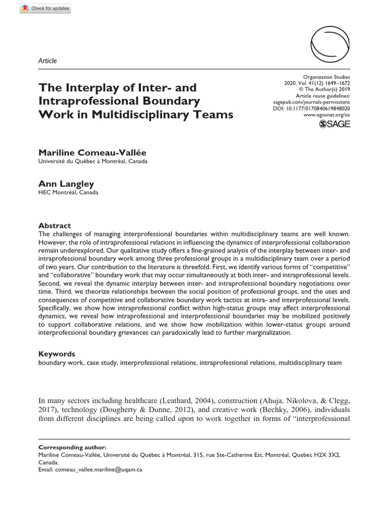 Inter- and Intraprofessional Boundary Work | PDF | Psychotherapy ...