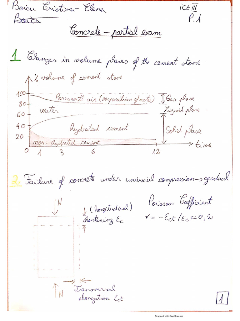 Boicu Cristina p1 Iceiii c1 Pe | PDF