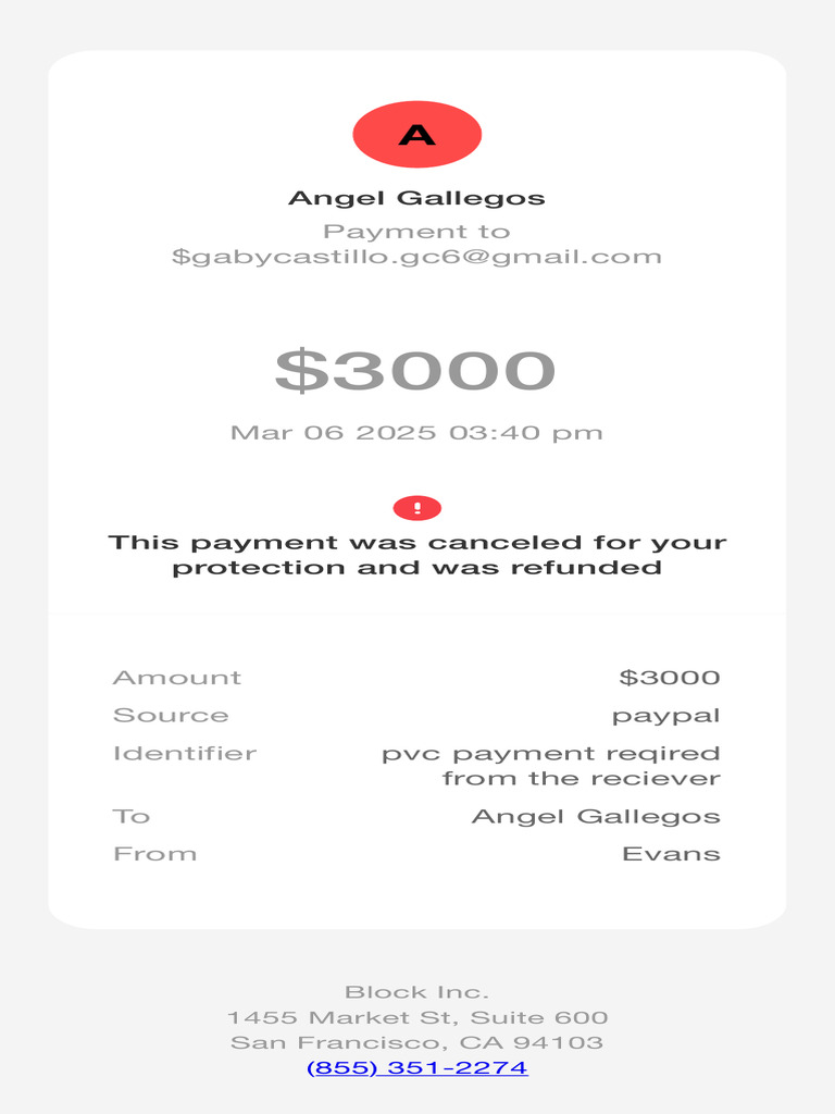 Paypal Proofs Generator | PDF