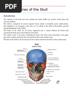 Ethmoid Bone - Location - Structure - Relationships - TeachMeAnatomy | PDF | Human Nose | Human ...
