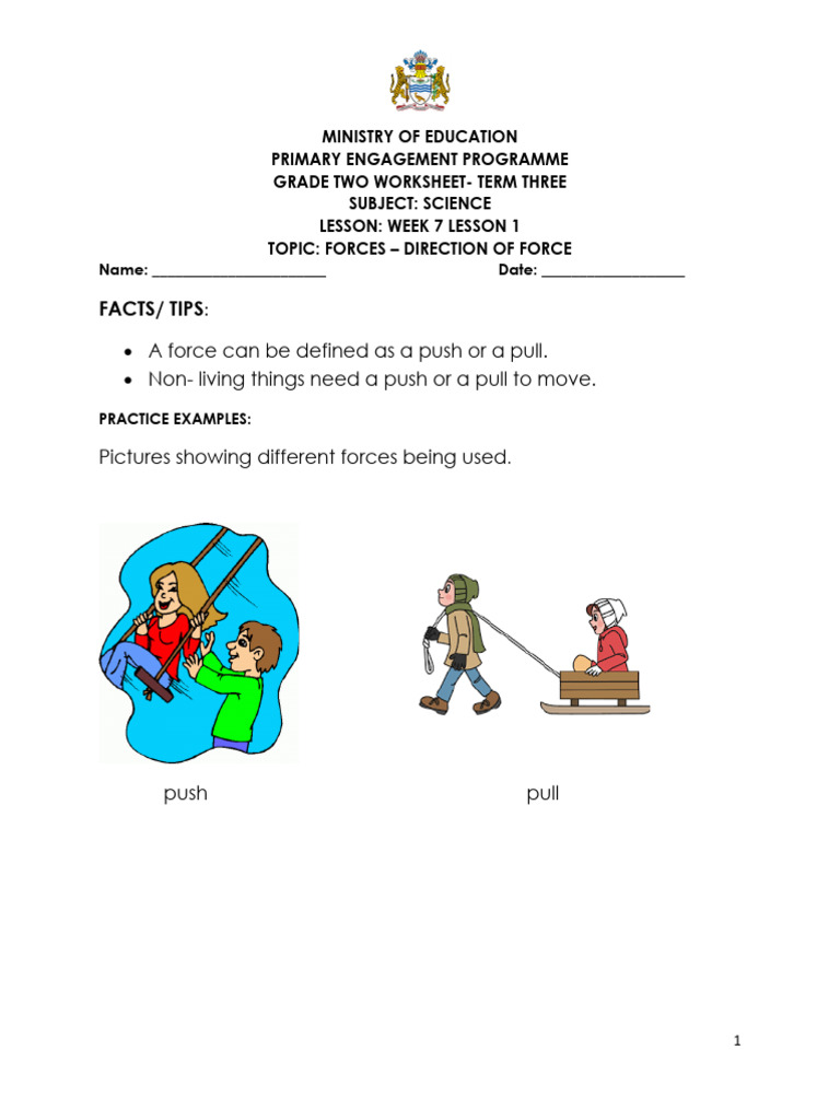 Term 3 Grade 2 Science Worksheets Week 7 To 11. Reviewed | PDF ...