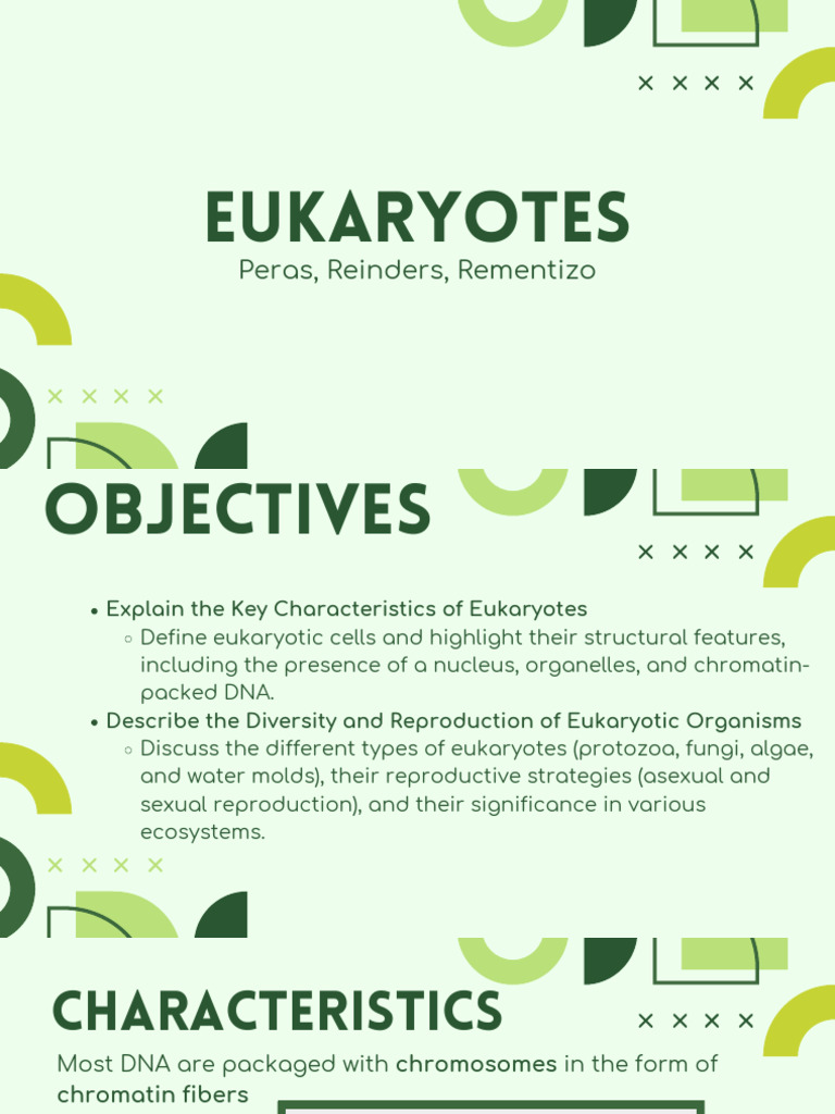 Characterization and Classification of EUKARYOTES | PDF | Mitosis | Fungus