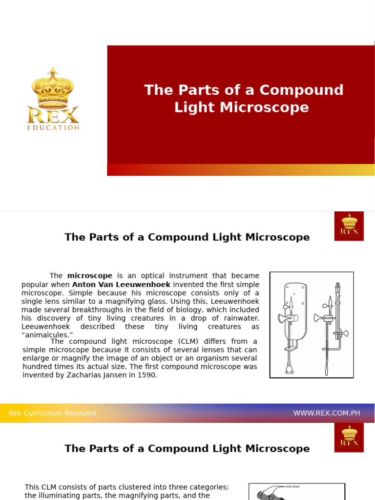 The Parts of A Compound Light Microscope | PDF | Equipment | Optics