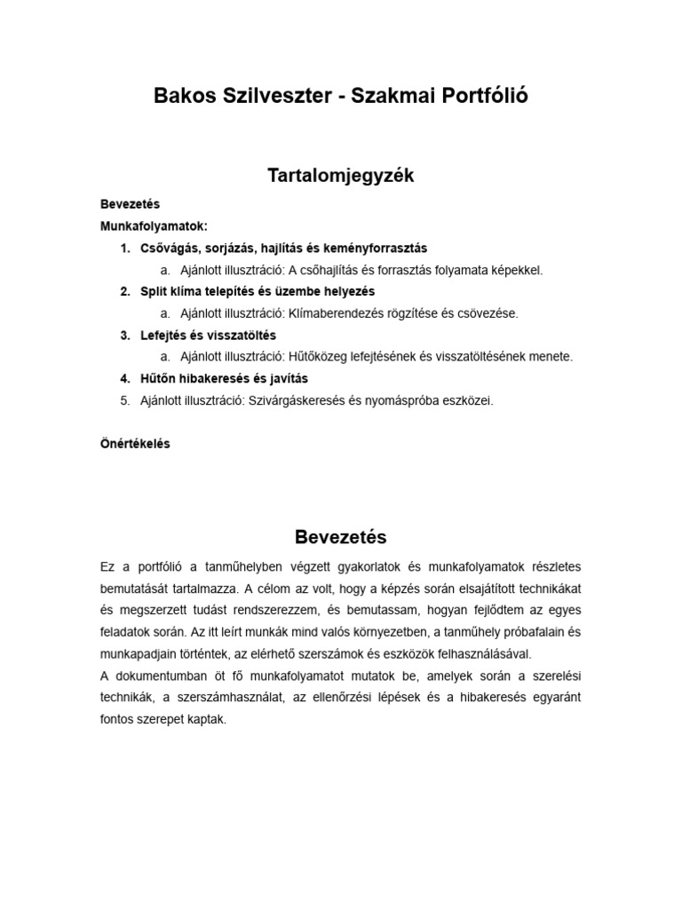 Szakmai Portfolio | PDF