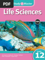 Shop Miss Angler | PDF