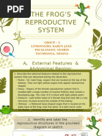 Male Frog Reproductive System Overview | PDF | Testicle | Sperm