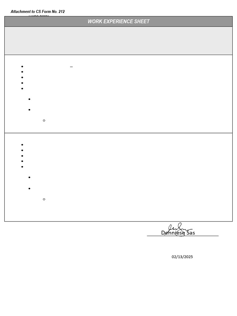 Work Experience Sheet | PDF