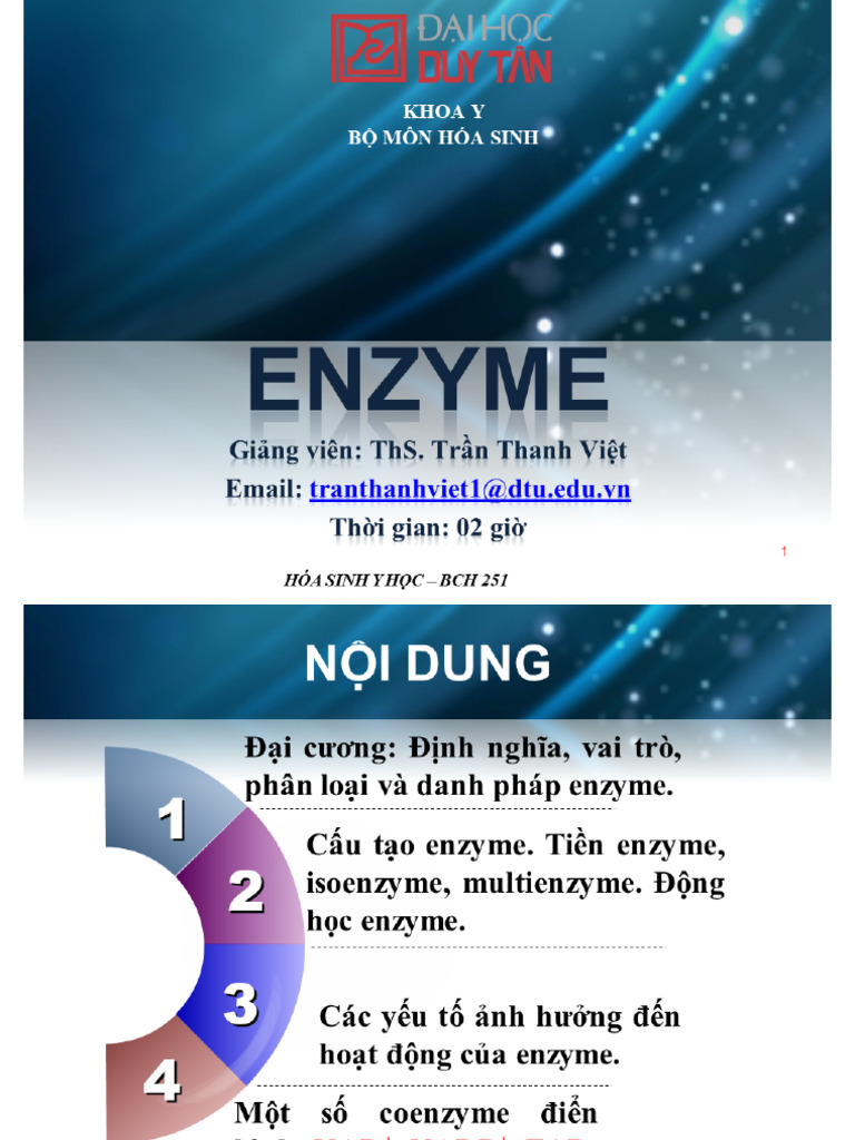 Enzyme | PDF