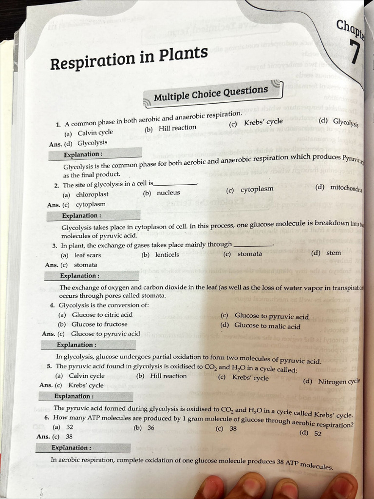 Respiration in Plants | PDF