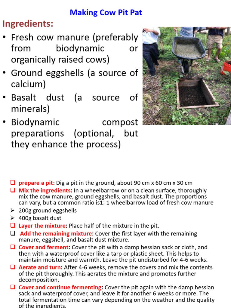 Making Cow Pit Pat: A Step-by-Step Guide | PDF