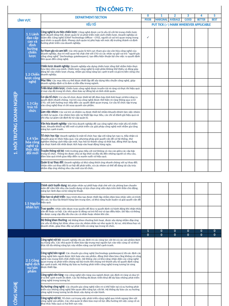 Technology Audit Sheet | PDF