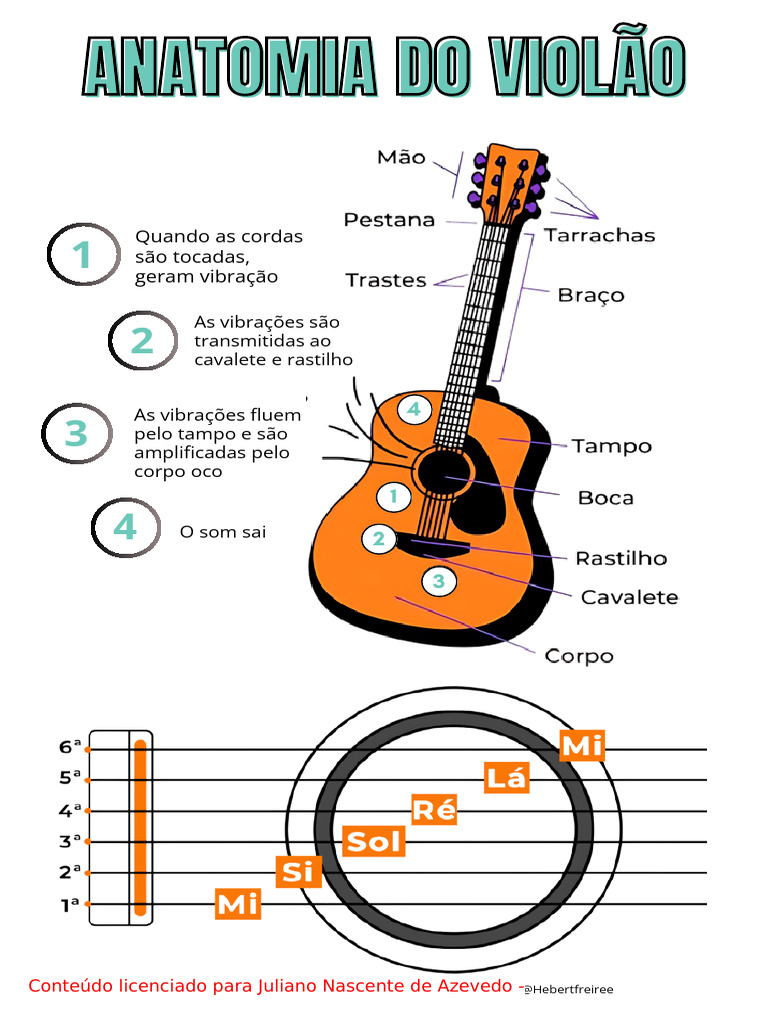 Anatomia Do Violão | PDF
