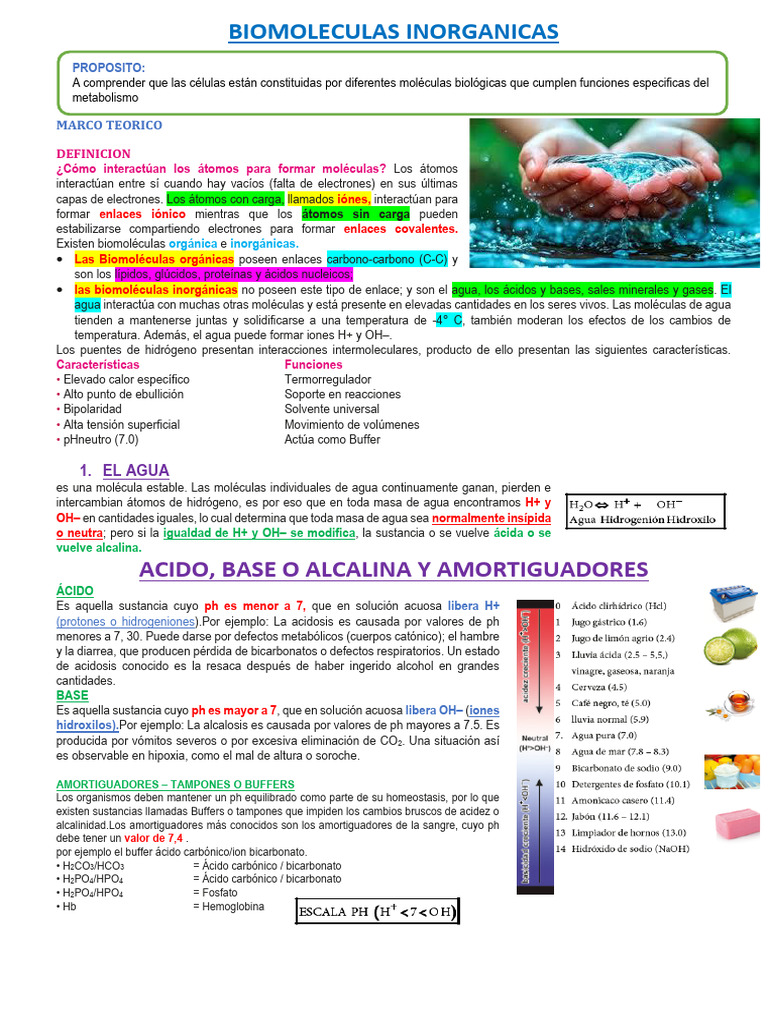 Biomoléculas Inorgánicas y Sus Funciones | PDF | Solución tampón ...