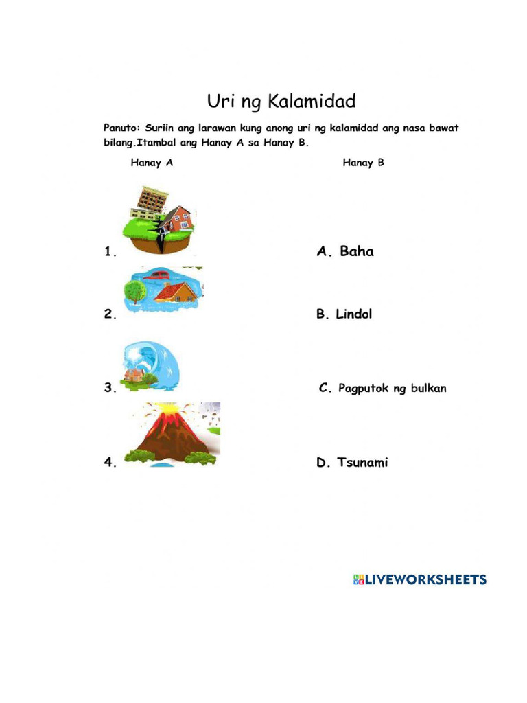 Kalamidad | PDF