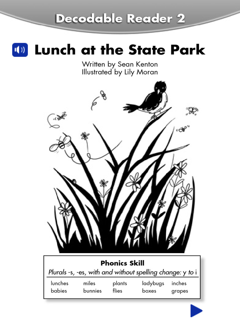 Plural Phonics: Lunch at the Park | PDF