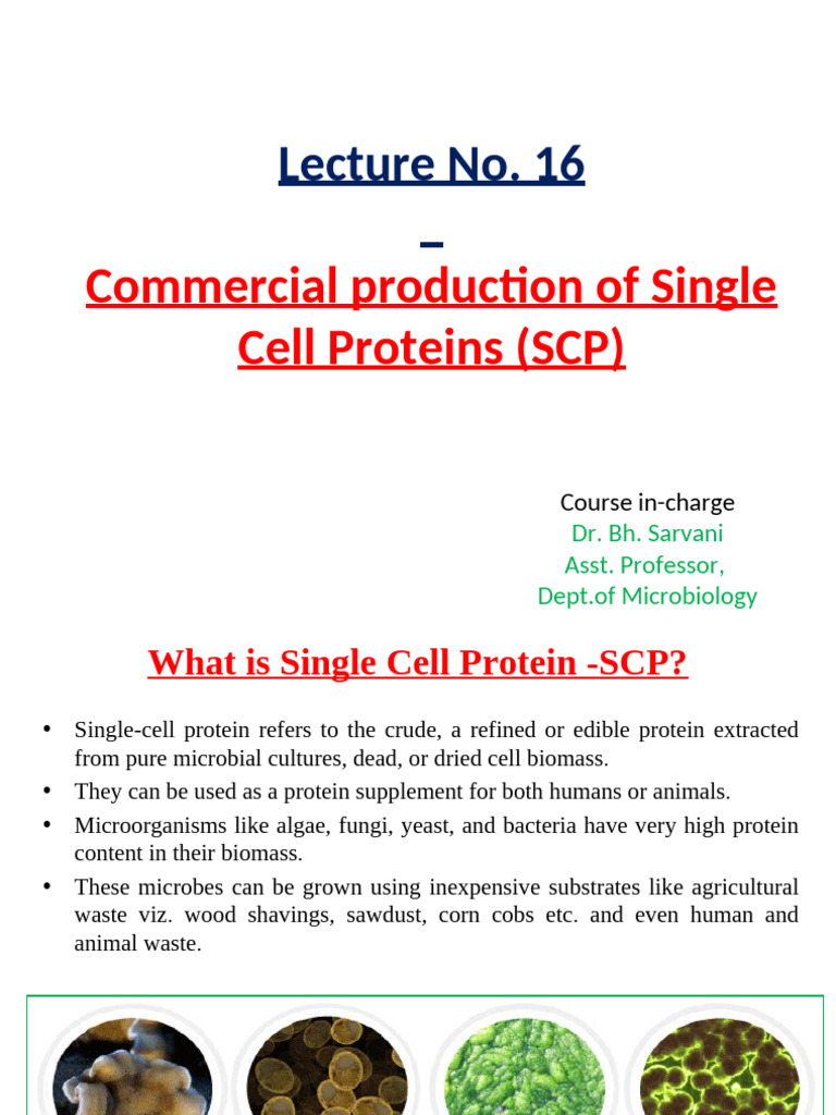 Lec. 16 Commercial Production of Single Cell Proteins | PDF | Yeast | Bacteria