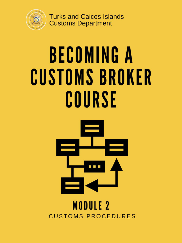 Customs Clearance Procedures Guide | PDF | Customs