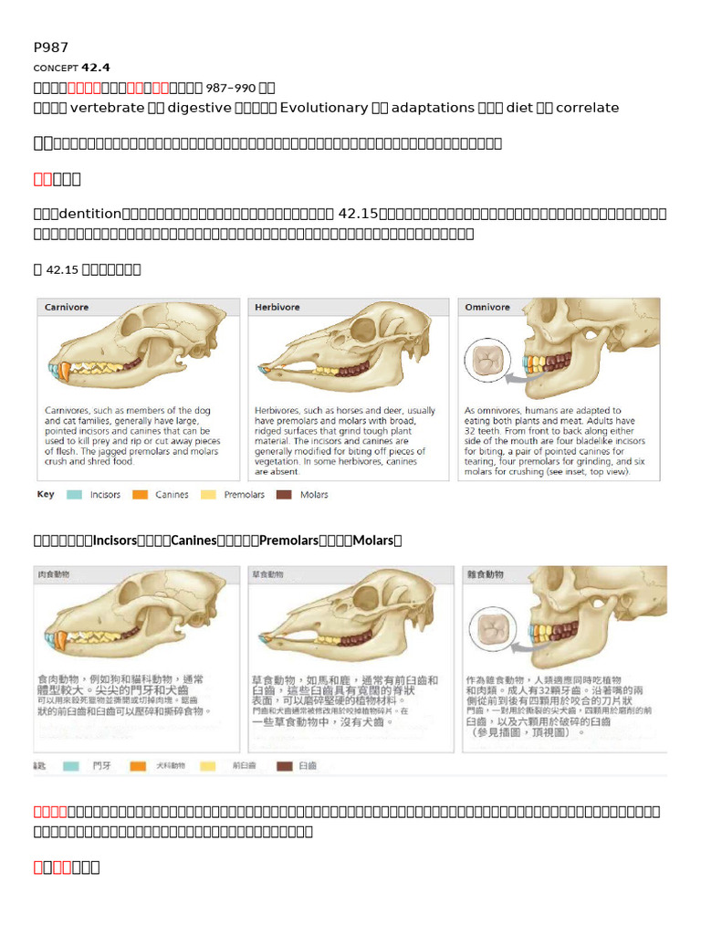 42 4消化系統的適應與飲食相關（P987） | PDF