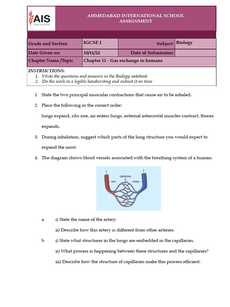 AIS_2022-2023_IG8_Chapter 11_Assignment 1 | PDF