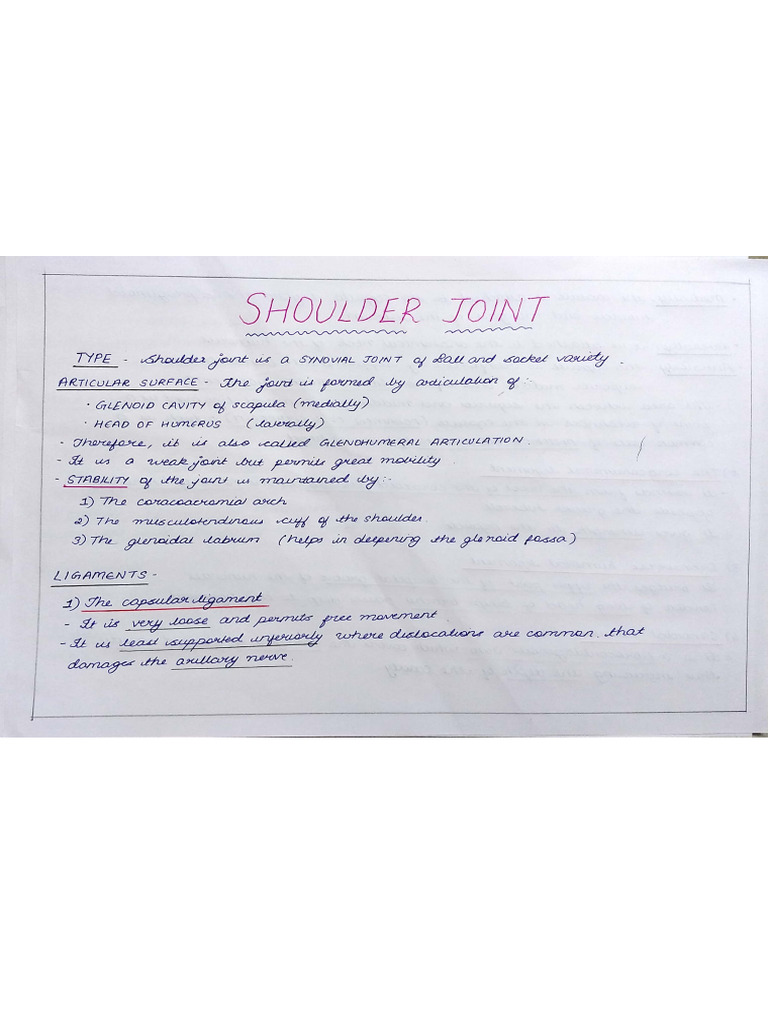 Shoulder Joint | PDF