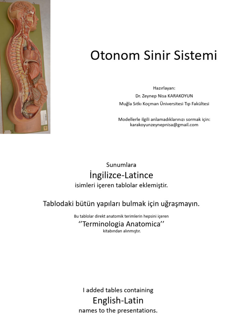 6-Otonom Sinir Sistemi (1) | PDF