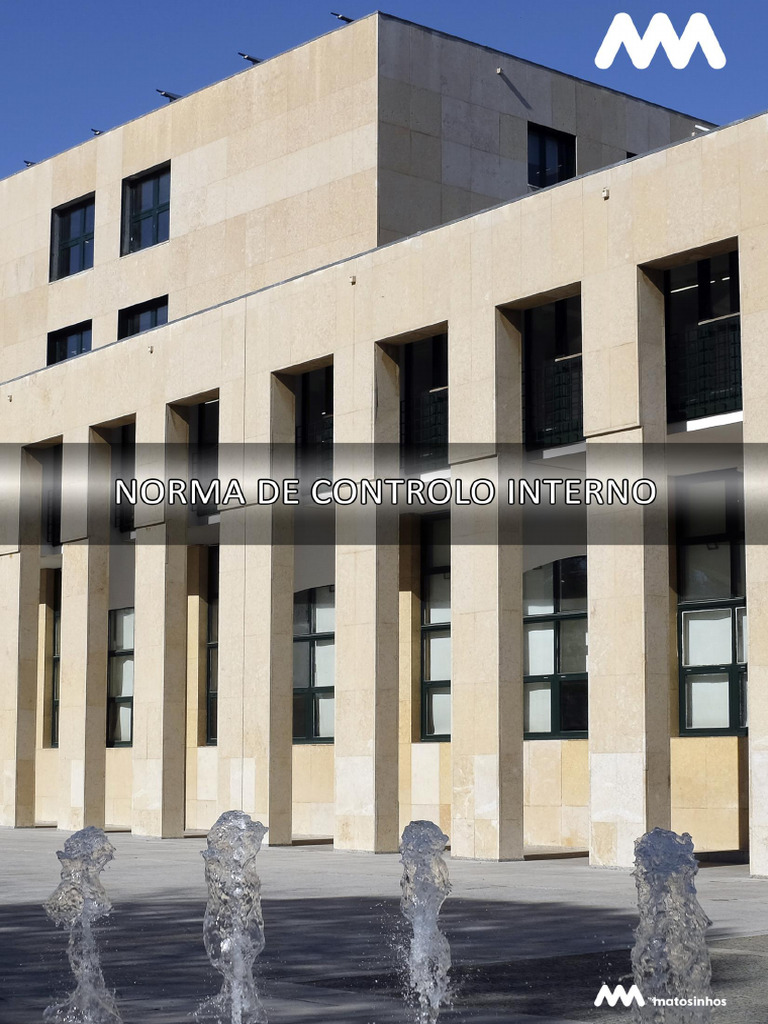 Norma de Controlo Interno | PDF | Contabilidade | Conta de transação
