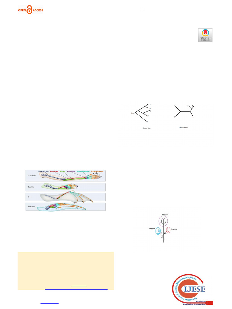 E2283076519 | PDF | Phylogenetic Tree | Phylogenetics
