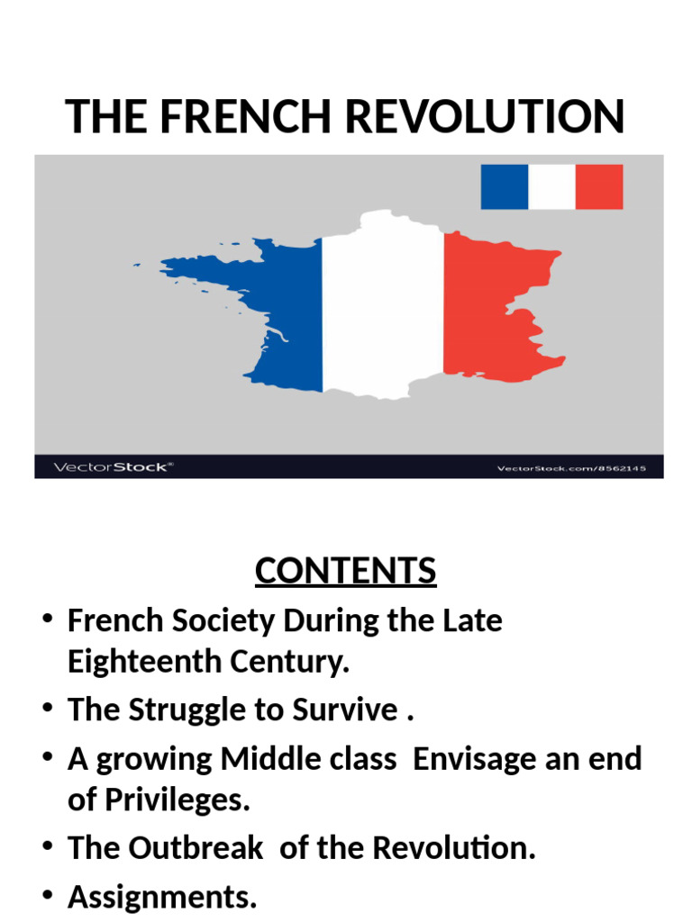 French Revolution Class Ix | PDF | Slavery | Reign Of Terror