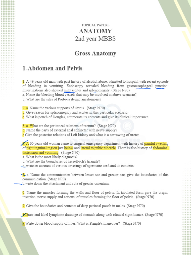Solved 2nd Year Anatomy Topical Papers | PDF | Common Carotid Artery ...